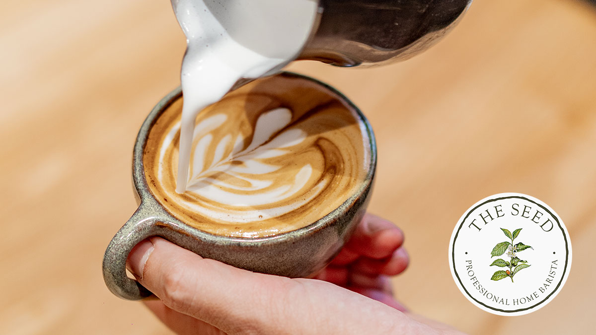 Γίνε επαγγελματίας Barista - The Seed Specialty Coffee Project